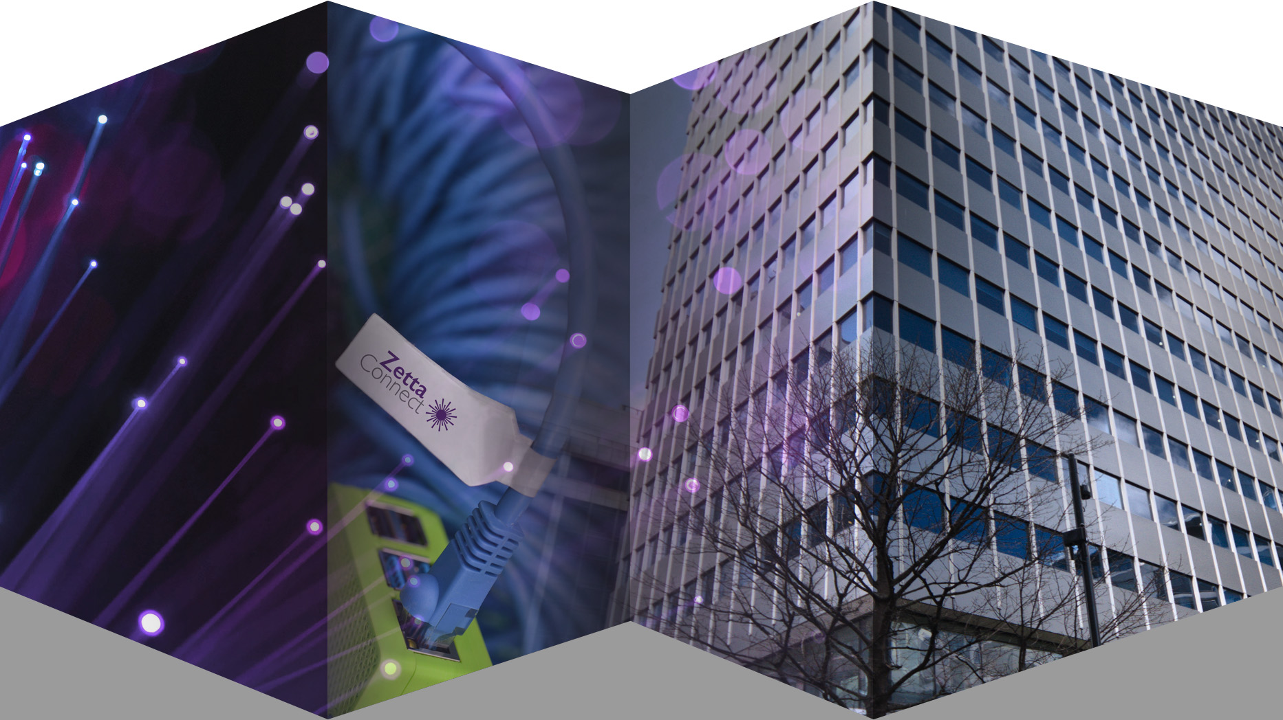 Our Products | Zetta Connect - Advanced Connectivity Solutions